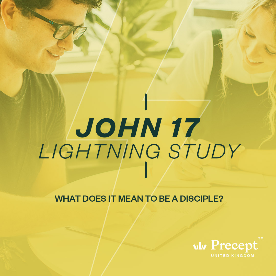 FREE John 17 Lightning Study Precept UK